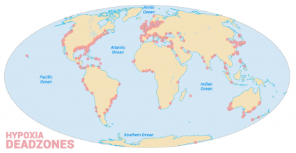 How Does Eutrophication Work? Causes, Process and Examples - Earth How