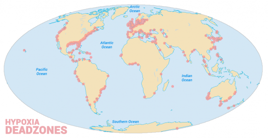 How Does Eutrophication Work? Causes, Process and Examples - Earth How