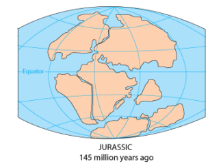 Continental Drift: A Tale of Moving Continents and Plate Tectonics ...