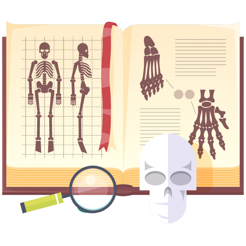 Average Salary in Environmental Science - Earth How