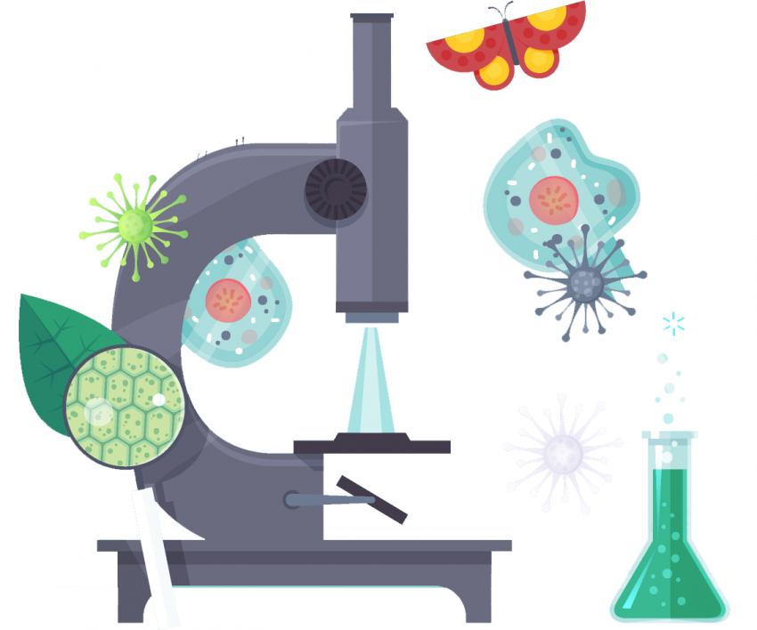 30 Environmental Science Careers: How To Be an Earth Scientist - Earth How