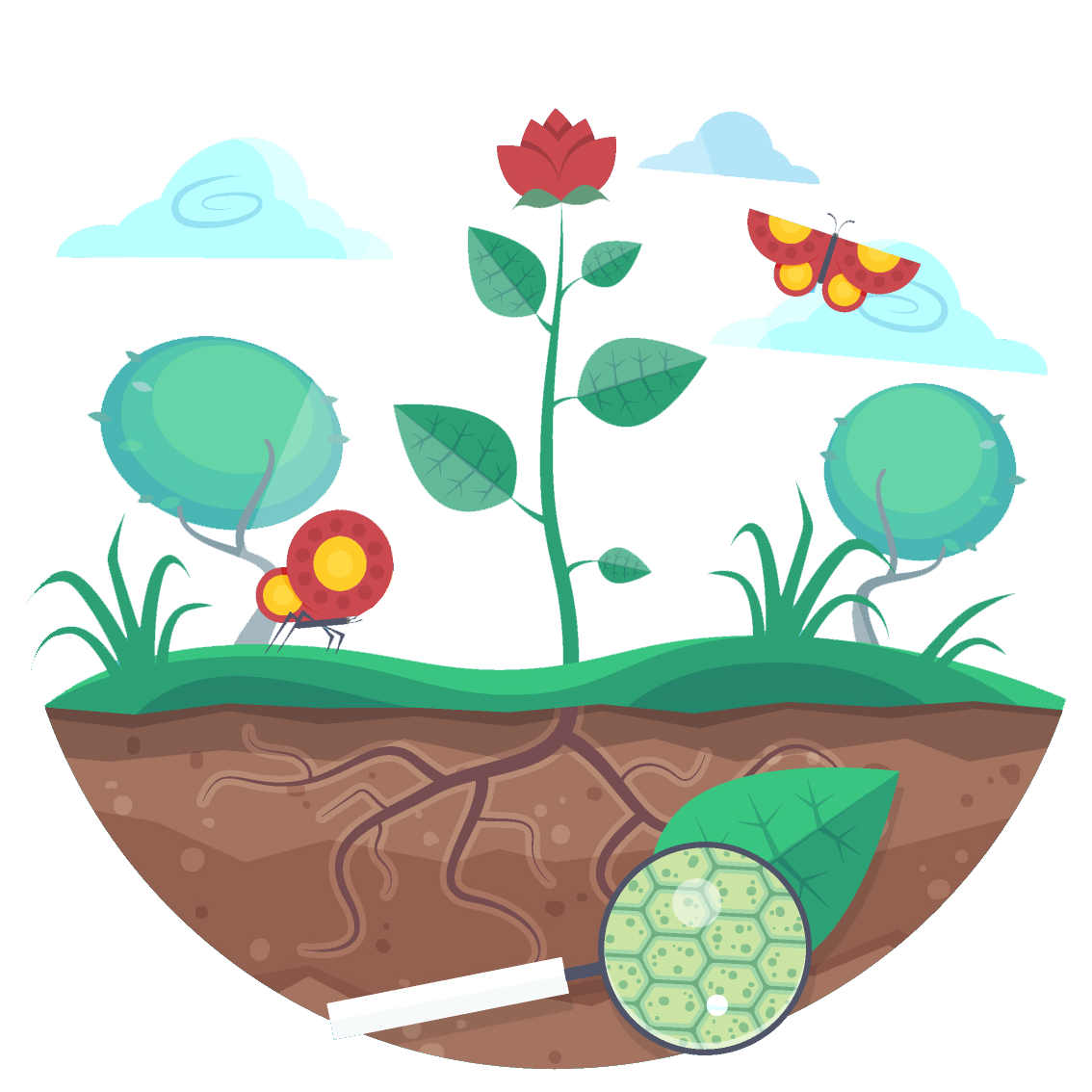 33 Branches of Biology: A Comprehensive Outline - Earth How