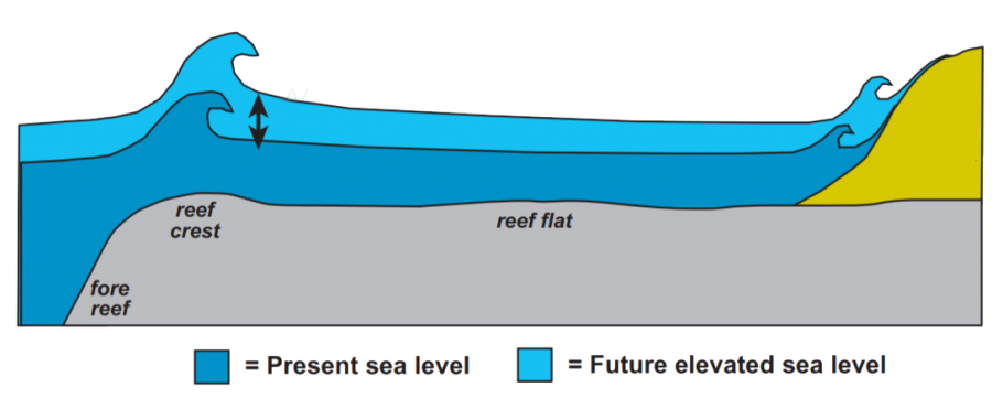 How Much Will Sea Level Rise? - Earth How