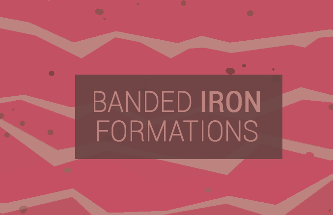 CARBON CYCLE: Photosynthesis, Decomposition, Respiration and Combustion ...
