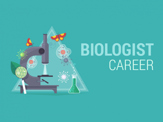 30 Environmental Science Careers: How To Be an Earth Scientist - Earth How