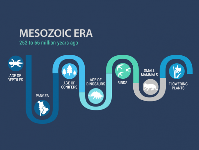 The Mesozoic Era: The Age of Reptiles, Dinosaurs and Conifers - Earth How