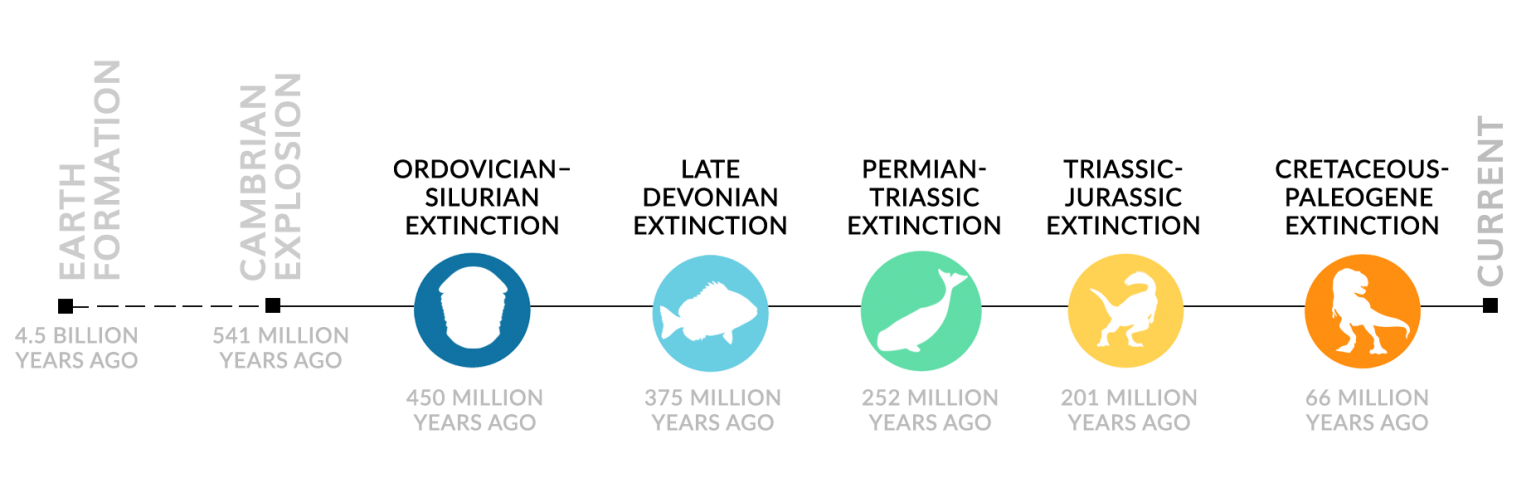 Mass Extinctions: The 5 Biggest Dying Events in History - Earth How