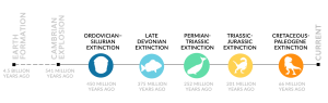 Mass Extinctions: The 5 Biggest Dying Events in History - Earth How
