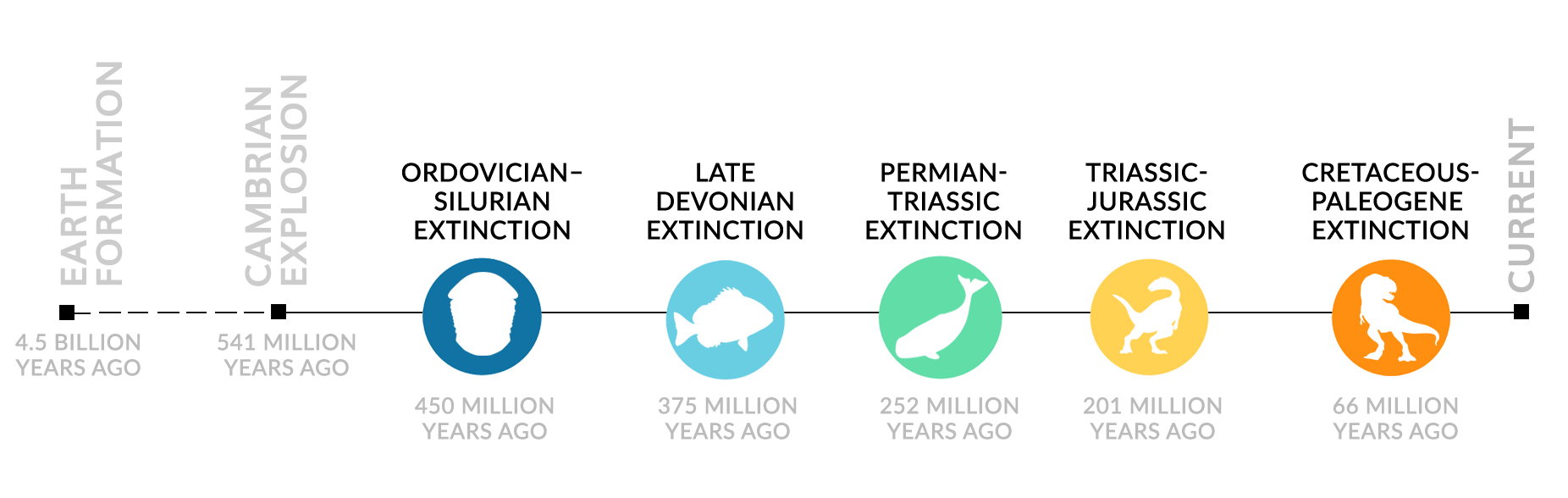 Mass Extinctions: The 5 Biggest Dying Events in History - Earth How