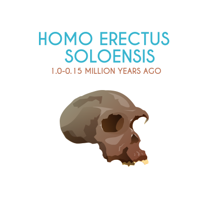 Human Evolution: A Timeline of Early Hominids [Infographic] - Earth How