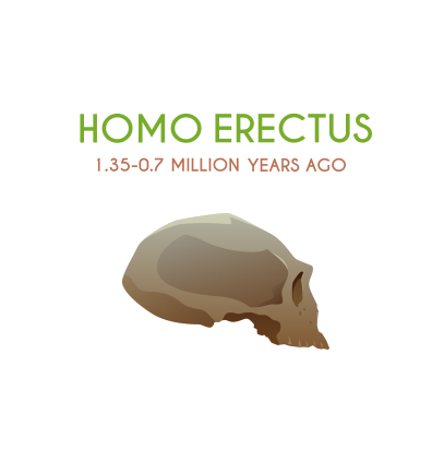 Human Evolution: A Timeline of Early Hominids [Infographic] - Earth How