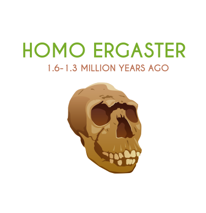 Human Evolution: A Timeline of Early Hominids [Infographic] - Earth How
