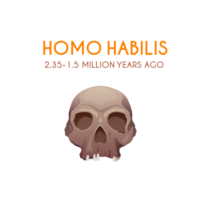 Human Evolution: A Timeline of Early Hominids [Infographic] - Earth How