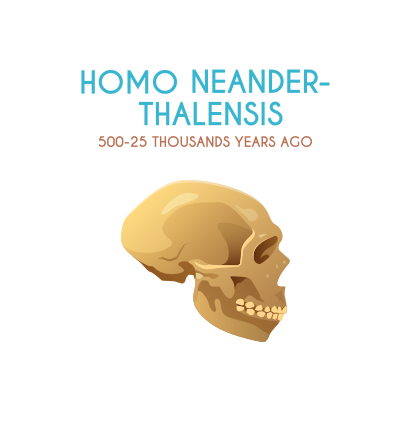 Human Evolution: A Timeline of Early Hominids [Infographic] - Earth How