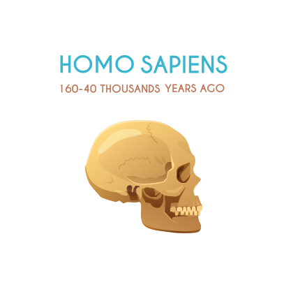 Human Evolution: A Timeline of Early Hominids [Infographic] - Earth How