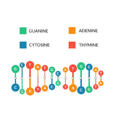 LUCA: Last Universal Common Ancestor - Earth How