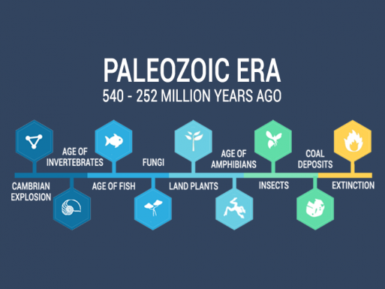 The Cenozoic Era: From Dinosaur Extinction to Human Evolution - Earth How