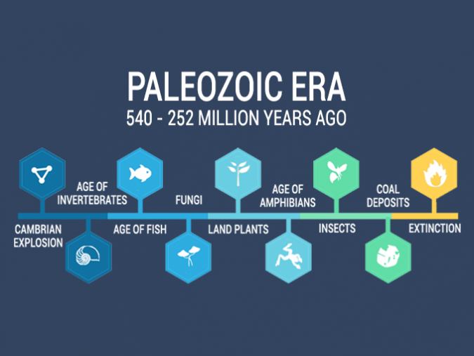 Pangea Fossils: Evidence of the Pangaea Supercontinent - Earth How