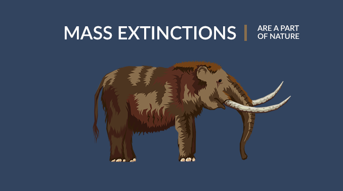 Trivia For Kids Example Of Mass Extinction