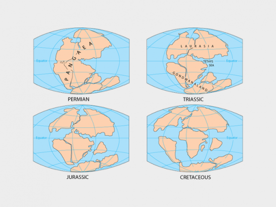 Pangea Ultima: Meet Earth's Next Supercontinent - Earth How