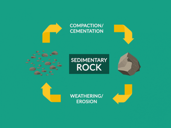 The Pedosphere: Soil on Earth - Earth How