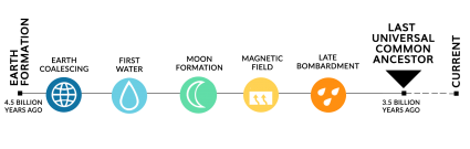 LUCA: Last Universal Common Ancestor - Earth How
