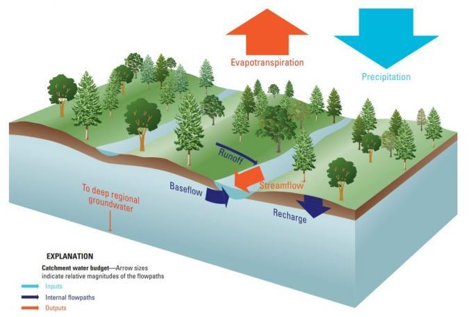 What is the Hydrologic Cycle? 3 Steps of the Water Cycle - Earth How