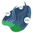 The Importance of Mangroves in Ecosystems - Earth How