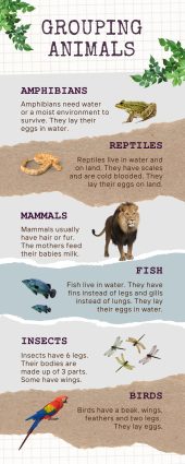 The 5 Classes of Vertebrates - Earth How