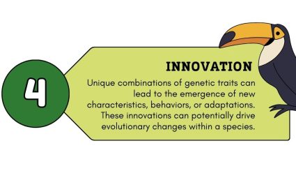 Genetic Diversity Advantages And Disadvantages Earth How