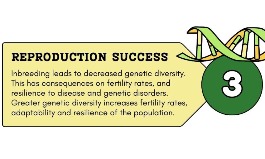 Genetic Diversity - Advantages and Disadvantages - Earth How