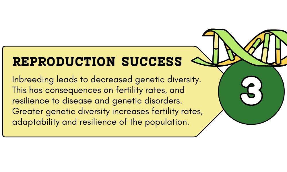 Genetic Diversity - Advantages and Disadvantages - Earth How