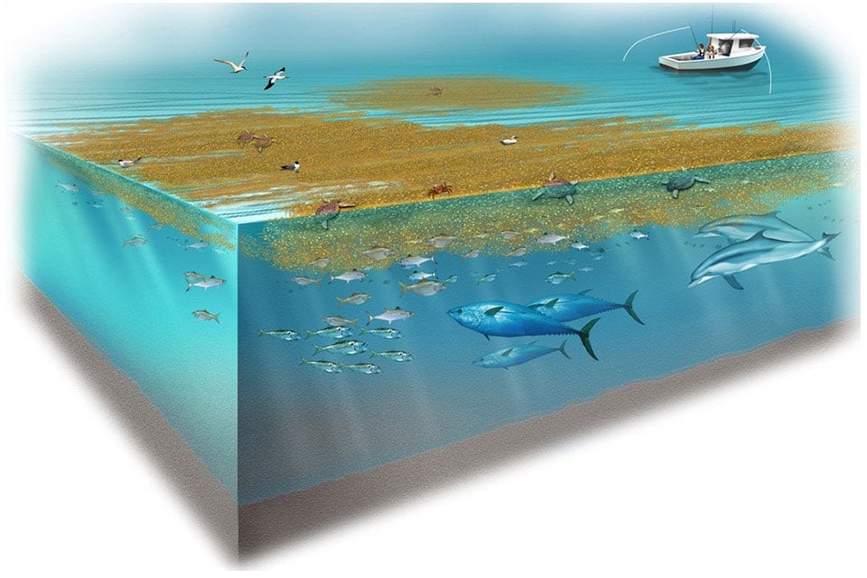 The Hydrosphere: A Deep Dive into Earth's Water - Earth How