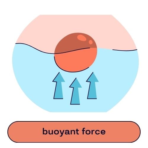 10 Types of Forces - Earth How