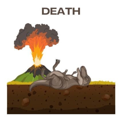 5 Steps of Fossilization - Earth How