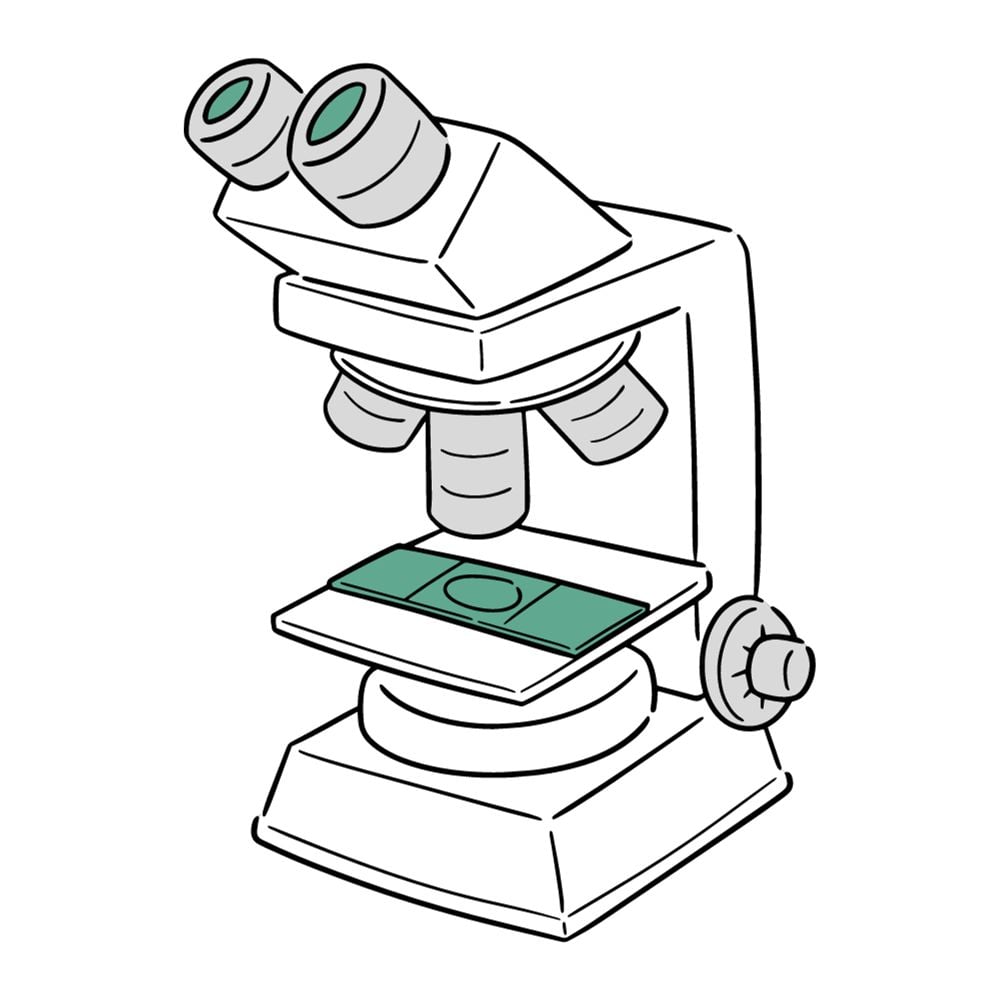 20 Laboratory Apparatus that Scientists Use in the Lab - Earth How