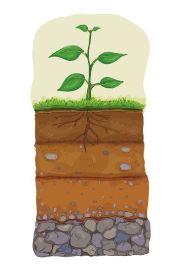 Strip Cropping: The Benefits of Green Stripes - Earth How