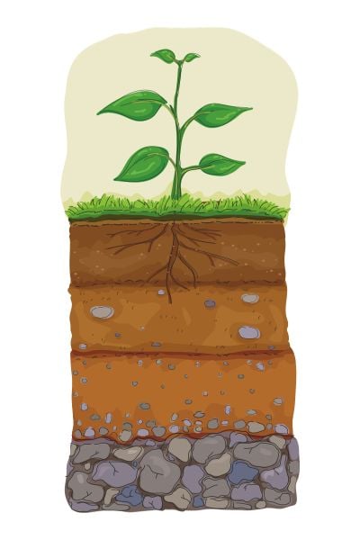 Strip Cropping: The Benefits of Green Stripes - Earth How