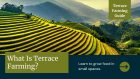 Terrace Farming: A Step-by-Step Explanation - Earth How