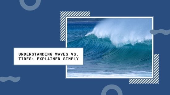 Whats The Difference Between Waves And Tides Earth How 1095