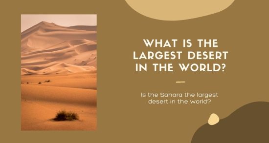 What is the Largest Desert in the World? - Earth How